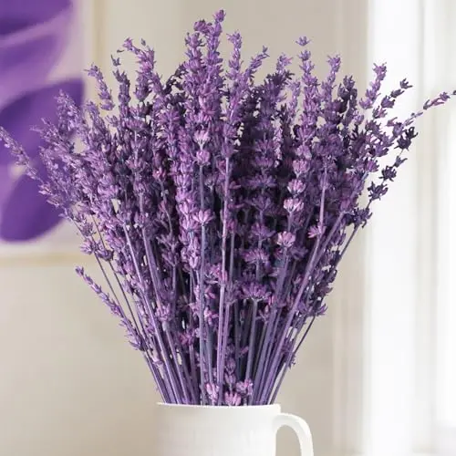 Best Dried Flowers For Vases - 2026 Reviews - Room Aesthetic
